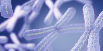 Telomery – co warto wiedzieć? | Diag.pl