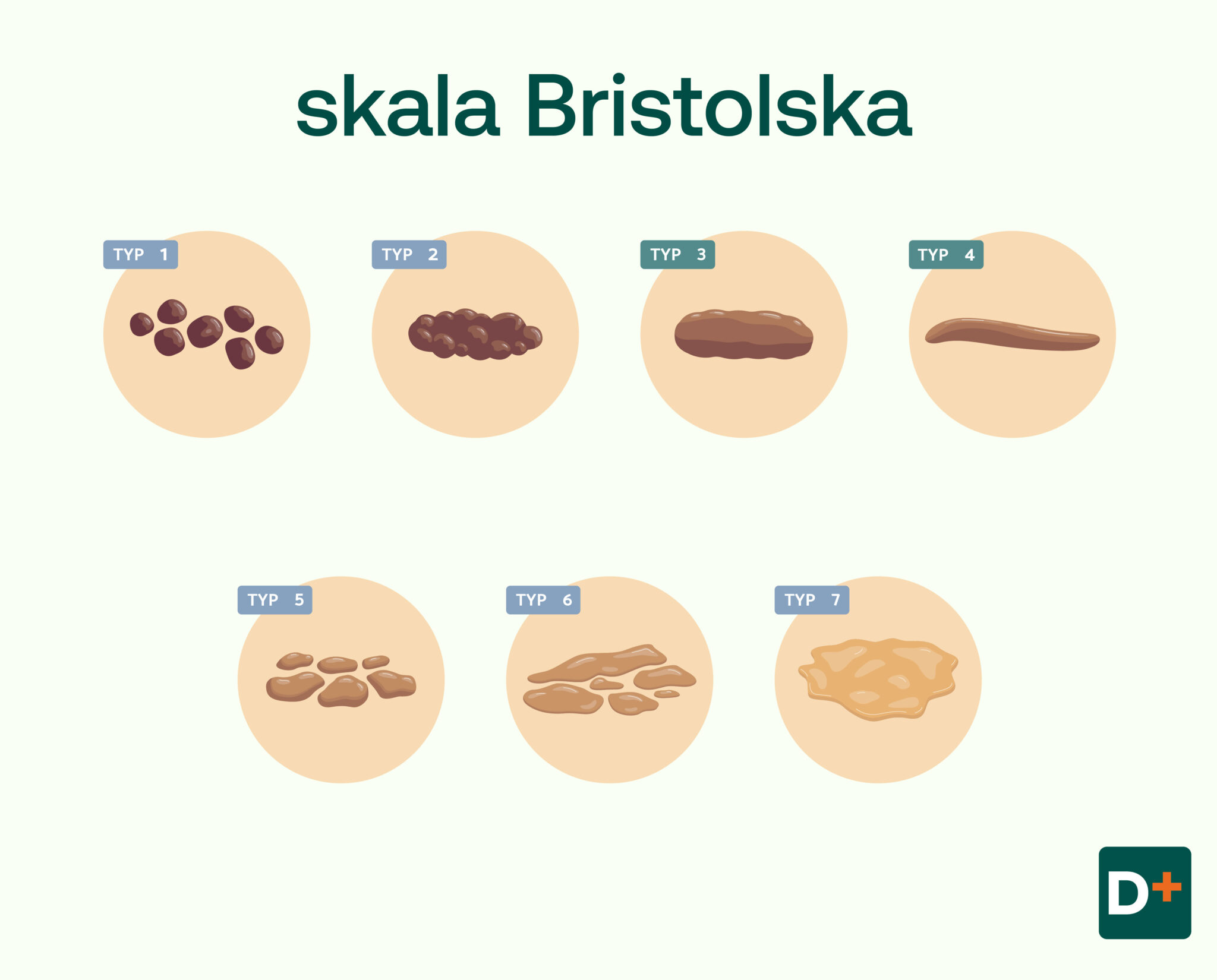 Jak wygląda prawidłowy stolec? | Diag.pl